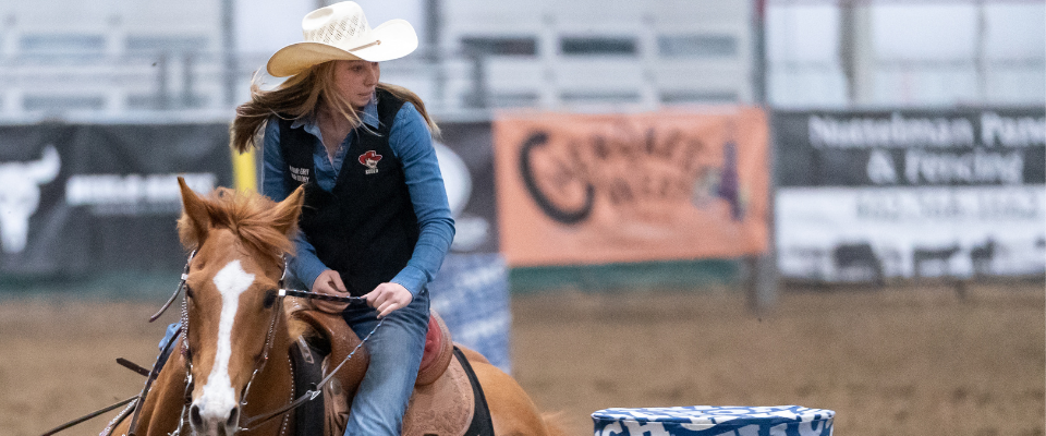 Lincoln Convention and Visitors Bureau